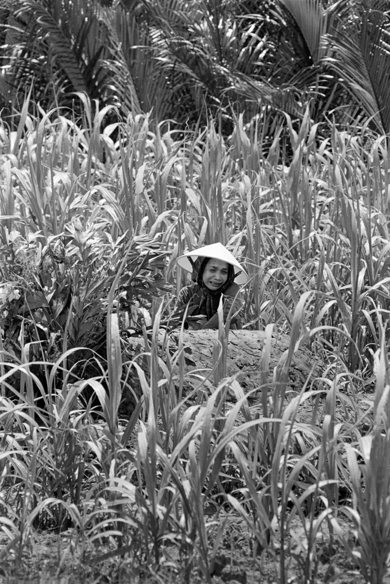 Philip Jones Griffiths: A Legacy in Photobooks • Magnum Photos