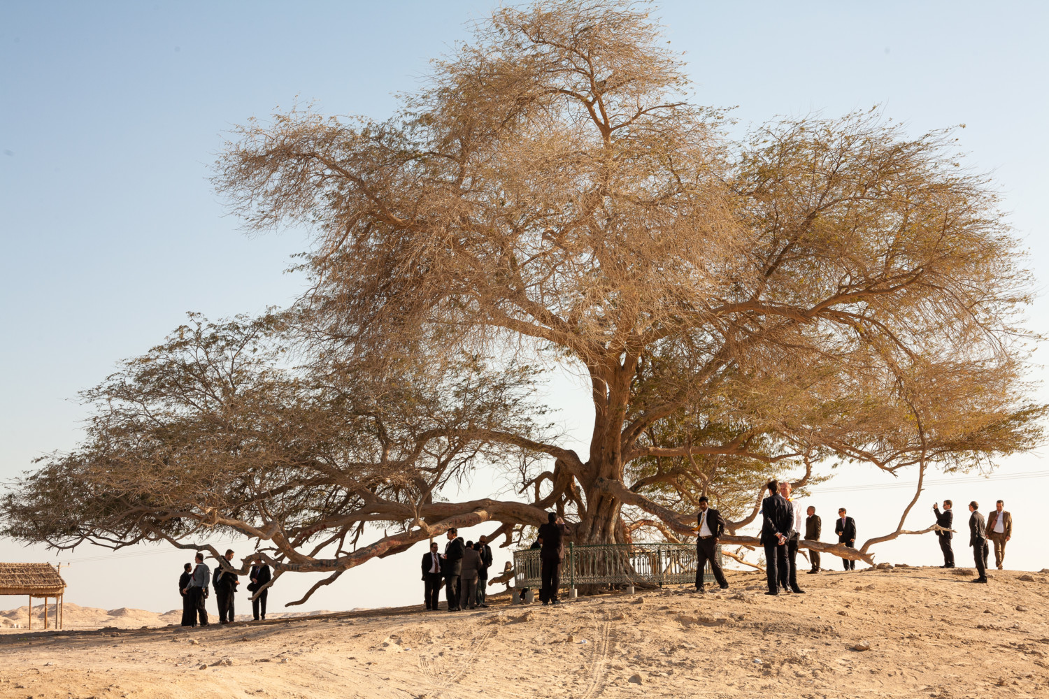 Zoshia Minto (The Everyday Projects) | Magnum Photos Zoshia Minto (The Everyday Projects) | Magnum Photos