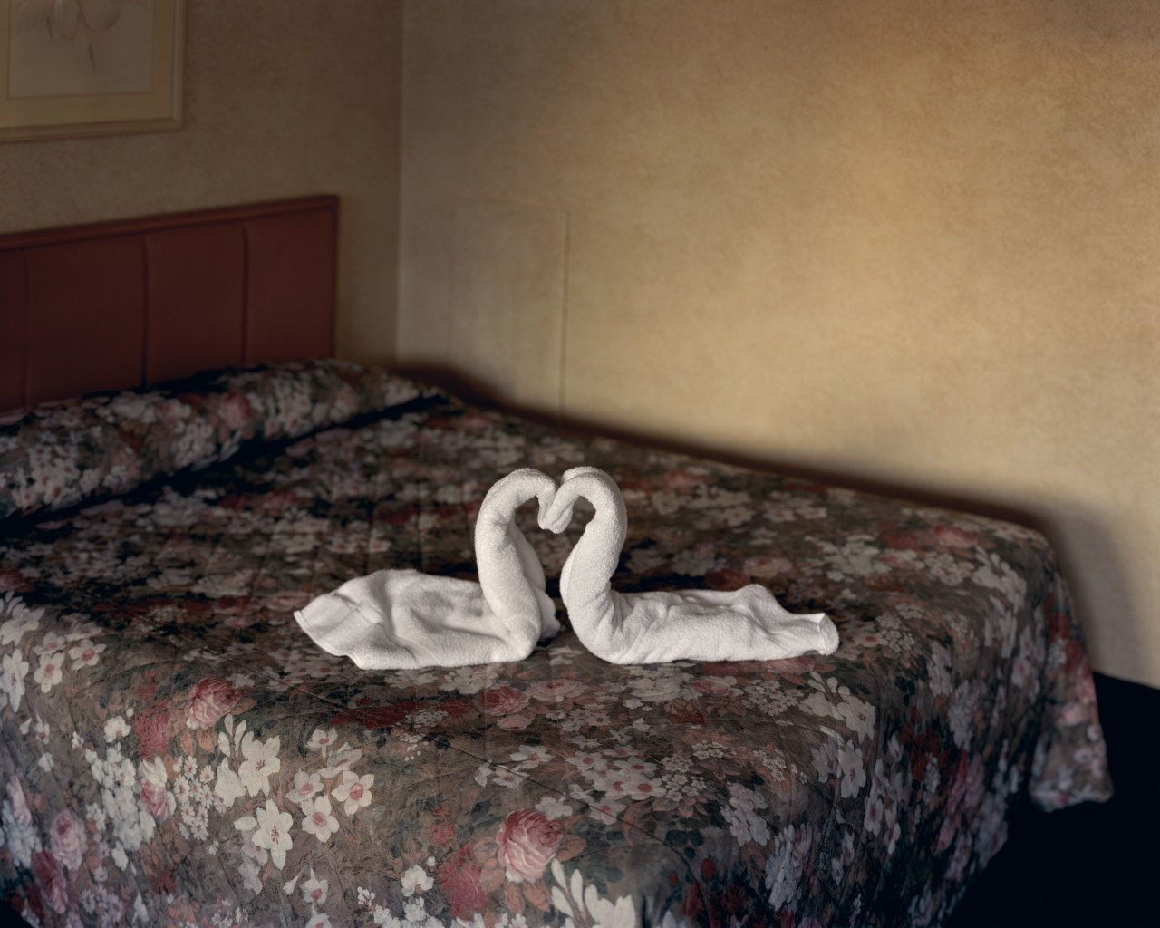 Alec Soth's Notes on the Making of His Book, Niagara | Magnum Photos
